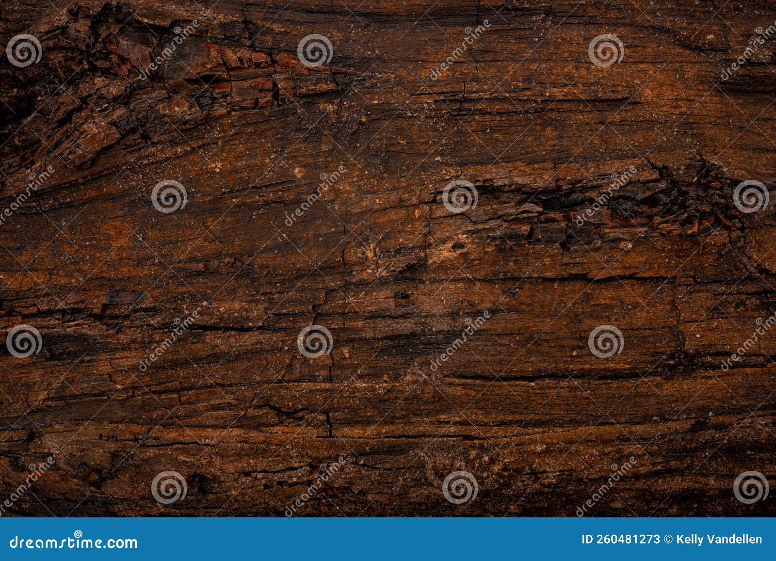 Bark Texture of Brown Petrified Wood Stock Image - Image of layers ...