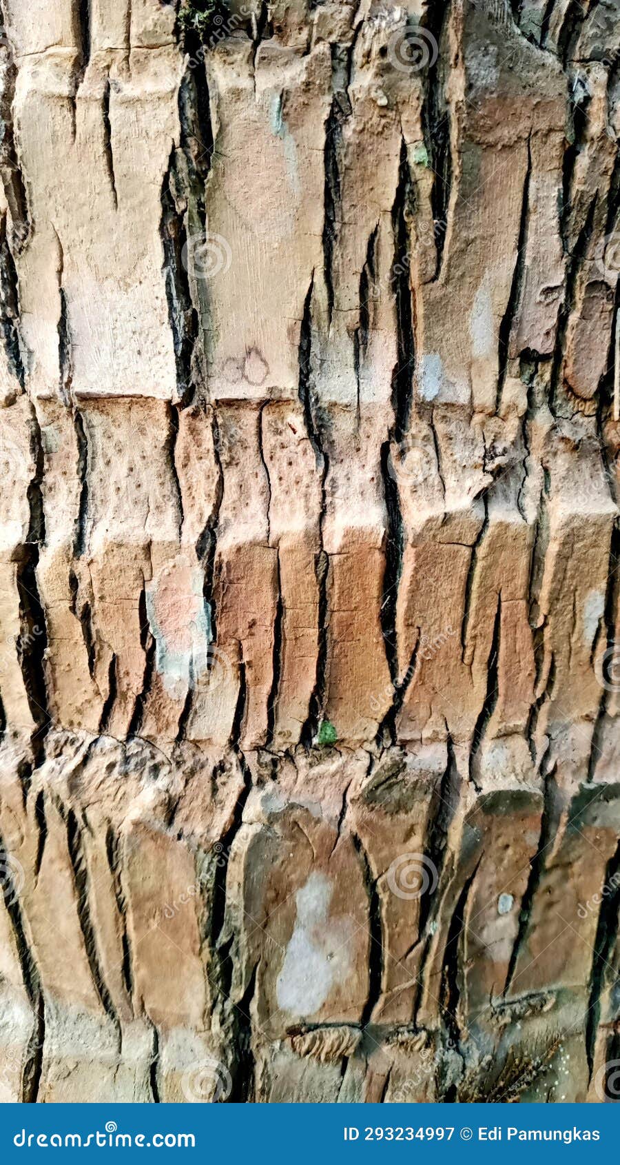 Close Up Cross Section Detail Impeller And Inside Centrifugal Pump For ...