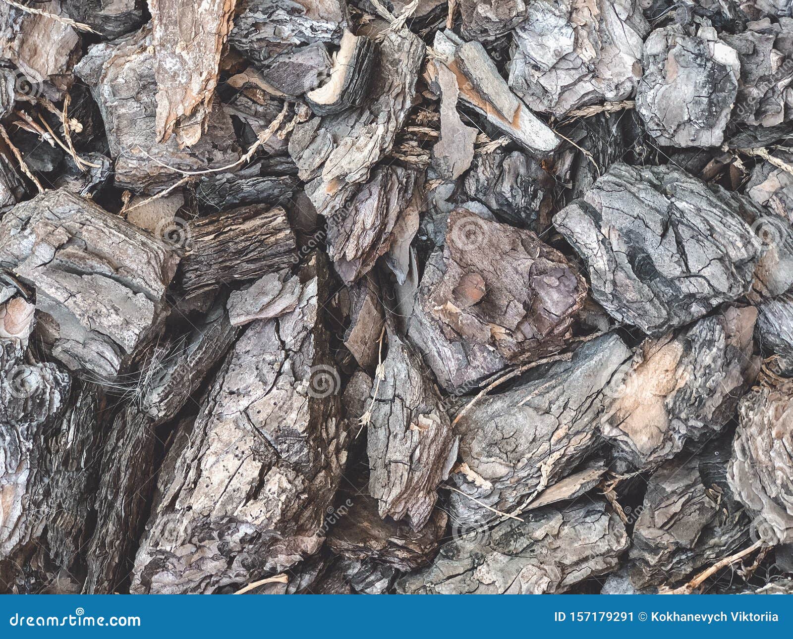 Bark Texture on the Ground. Stock Image - Image of ground, weathered ...