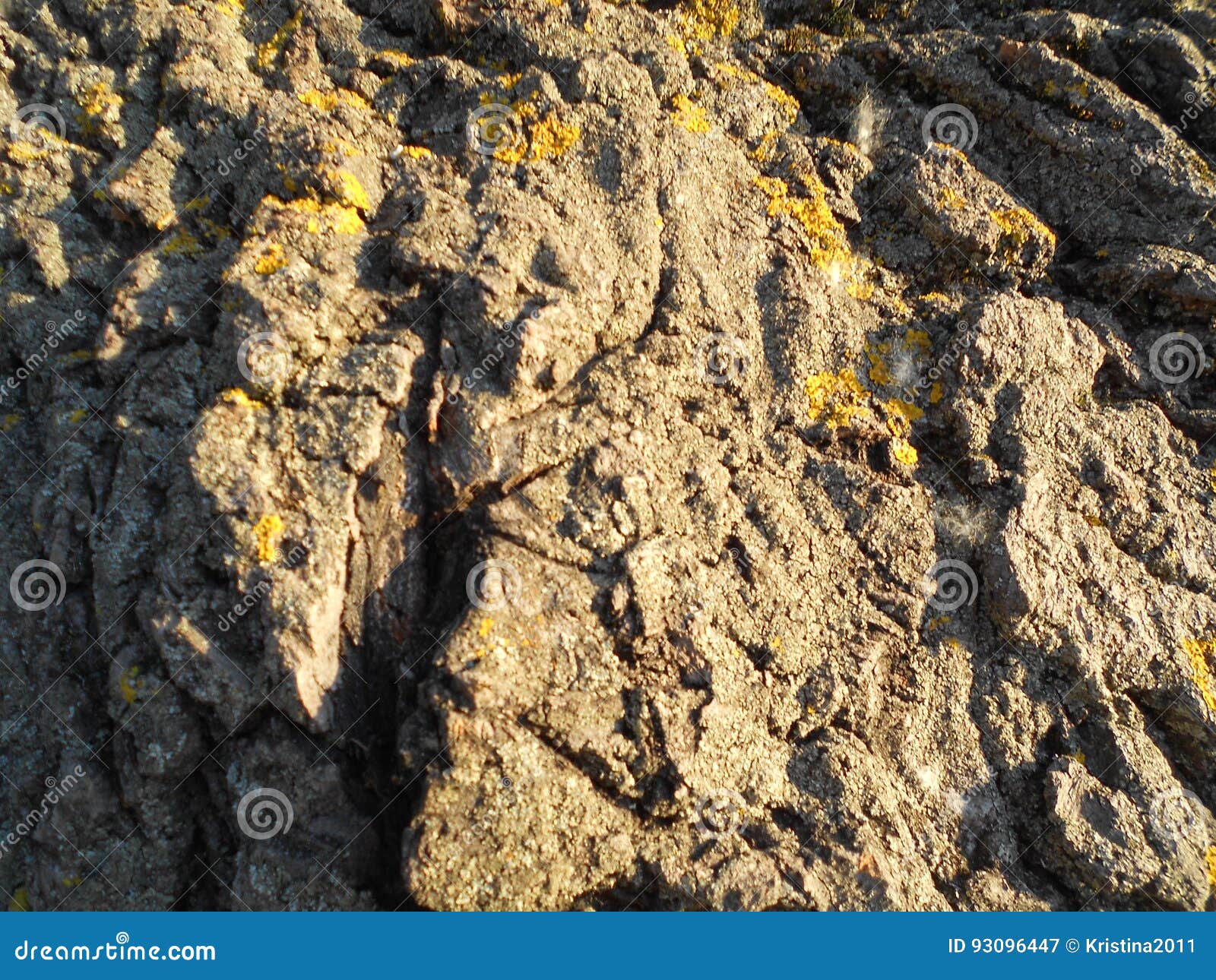 Bark texture nice stock image. Image of wallpaper, unique - 93096447