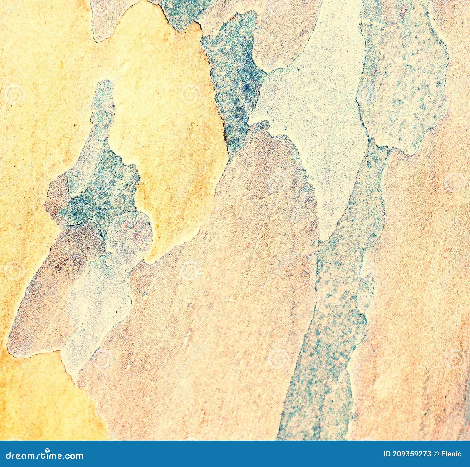 Bark Texture and Pattern. Japanese Stewartia Bark Smooth Textured and ...