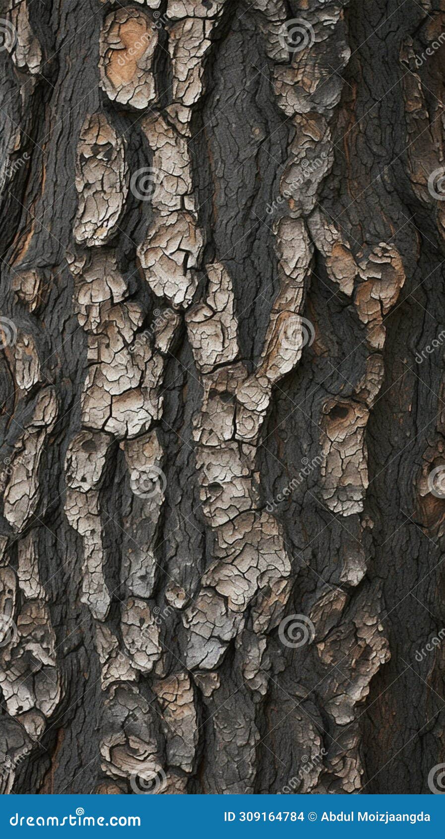 Bark Texture from a Tree Trunk Ideal for Wallpaper Background Stock ...