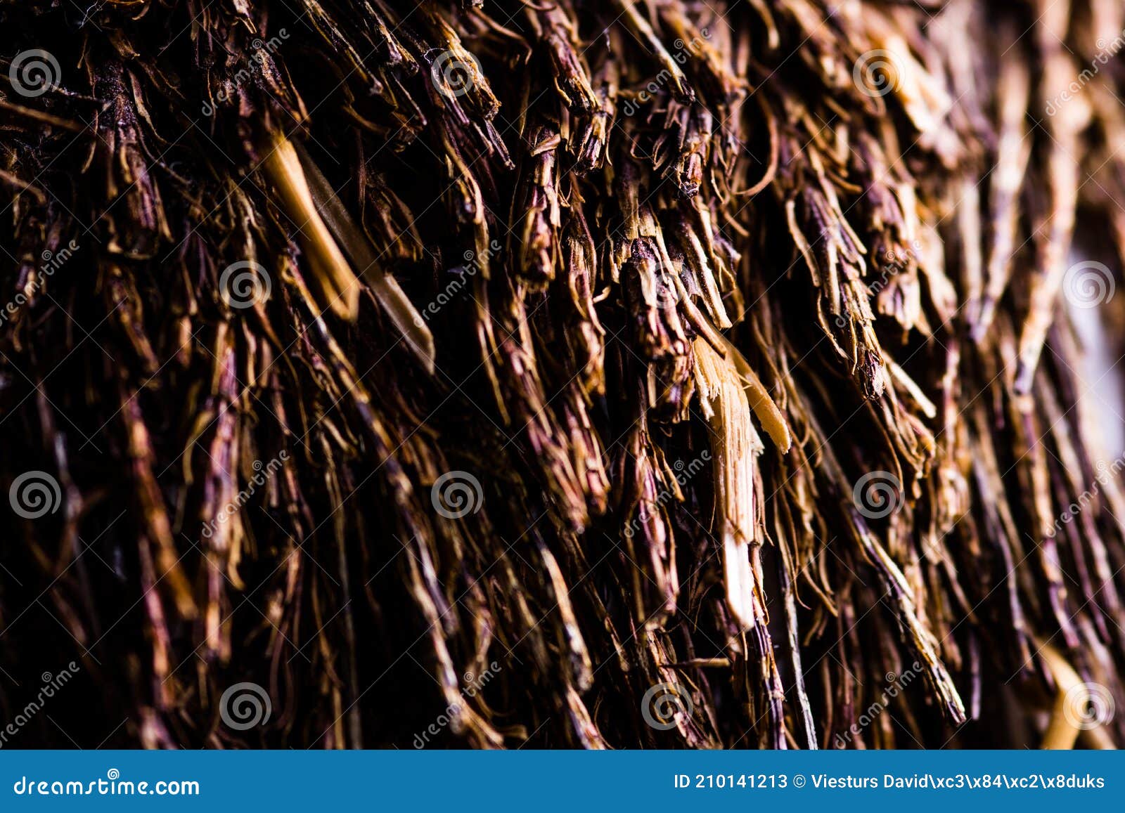 Tree Trunk Background. Pattern of Tree Trunk. Embossed Texture of the ...
