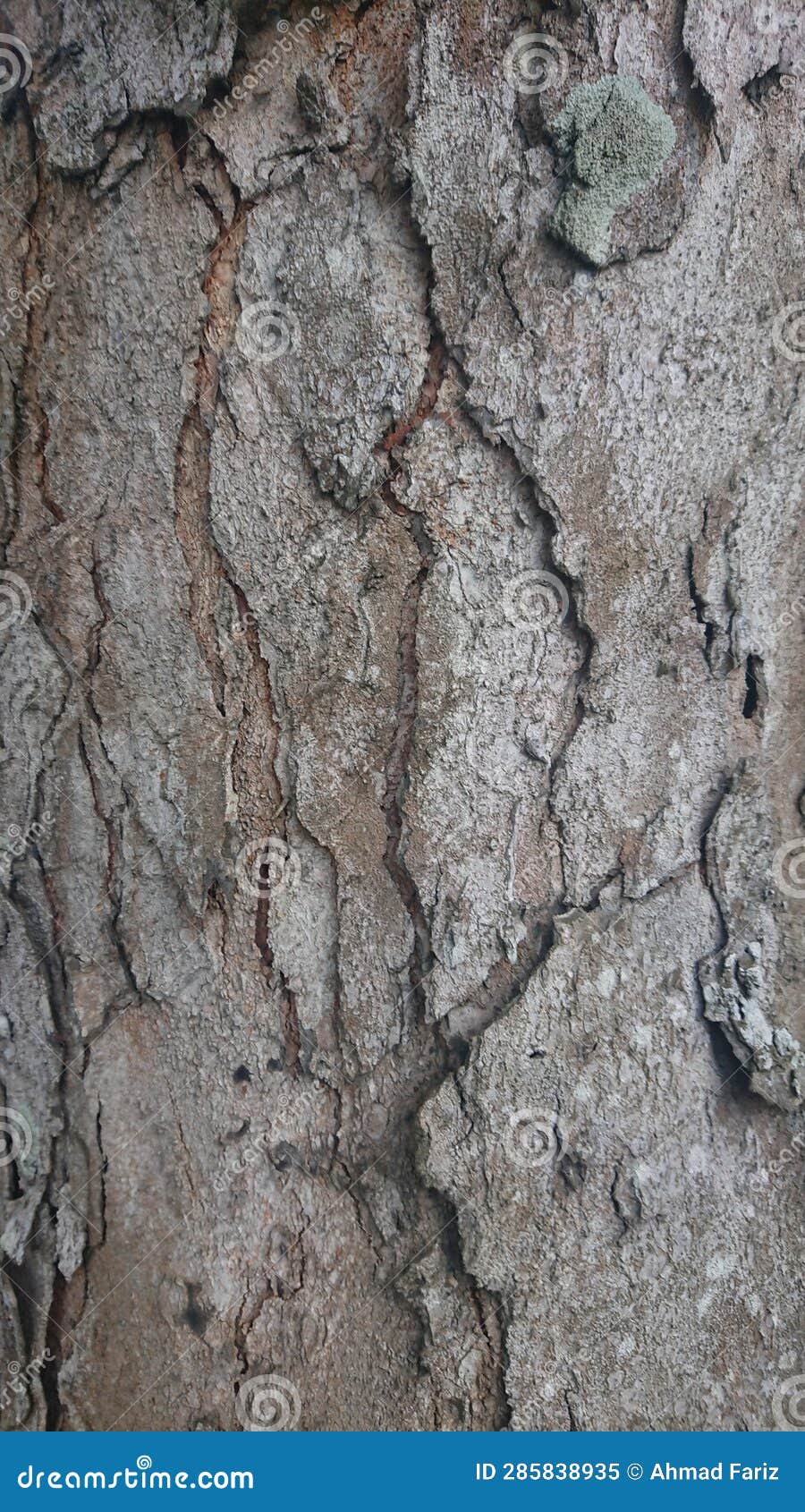 A Bark Tree Match As Background, Wallpaper, Design, and Other Usefull about Art Stock Image ...