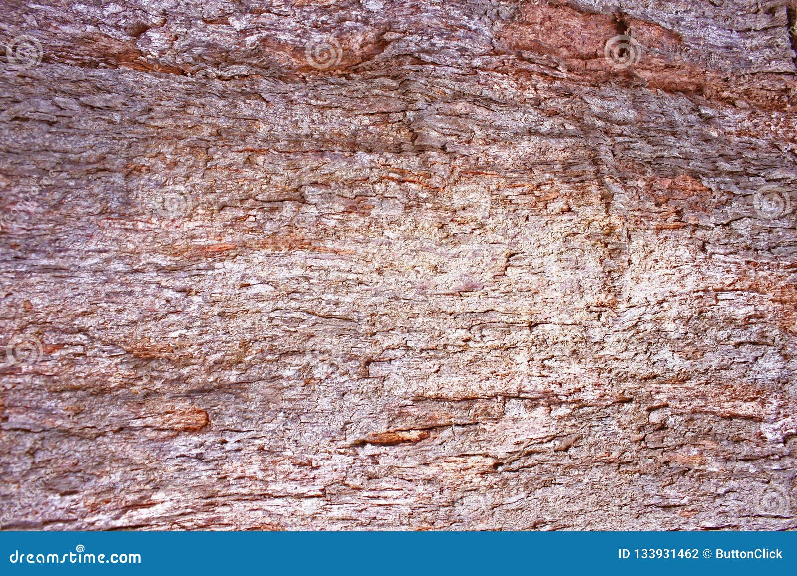 Bark Trunk Tree Rough Surface Along Pattern Background Stock Photo ...