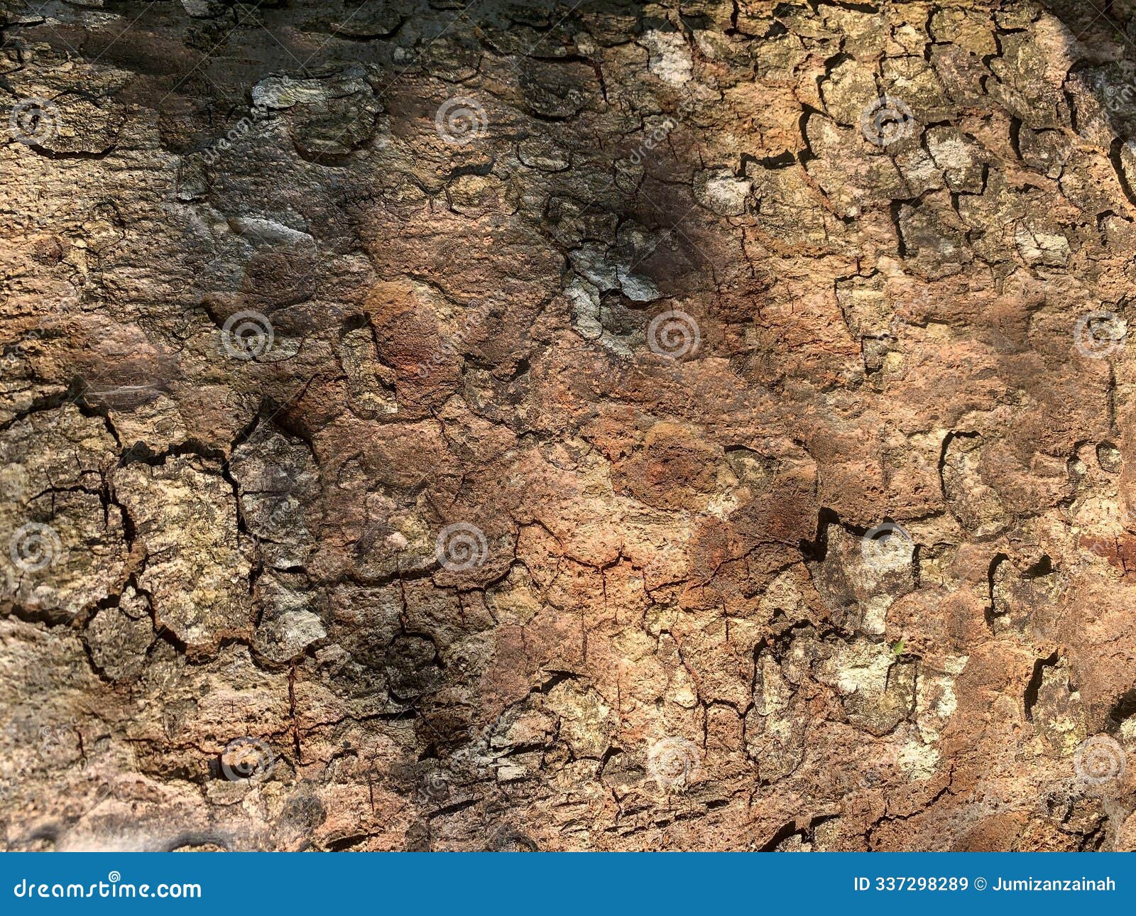 Bark Tree Texture Background, Bark is Outermost Layers of Stems and ...