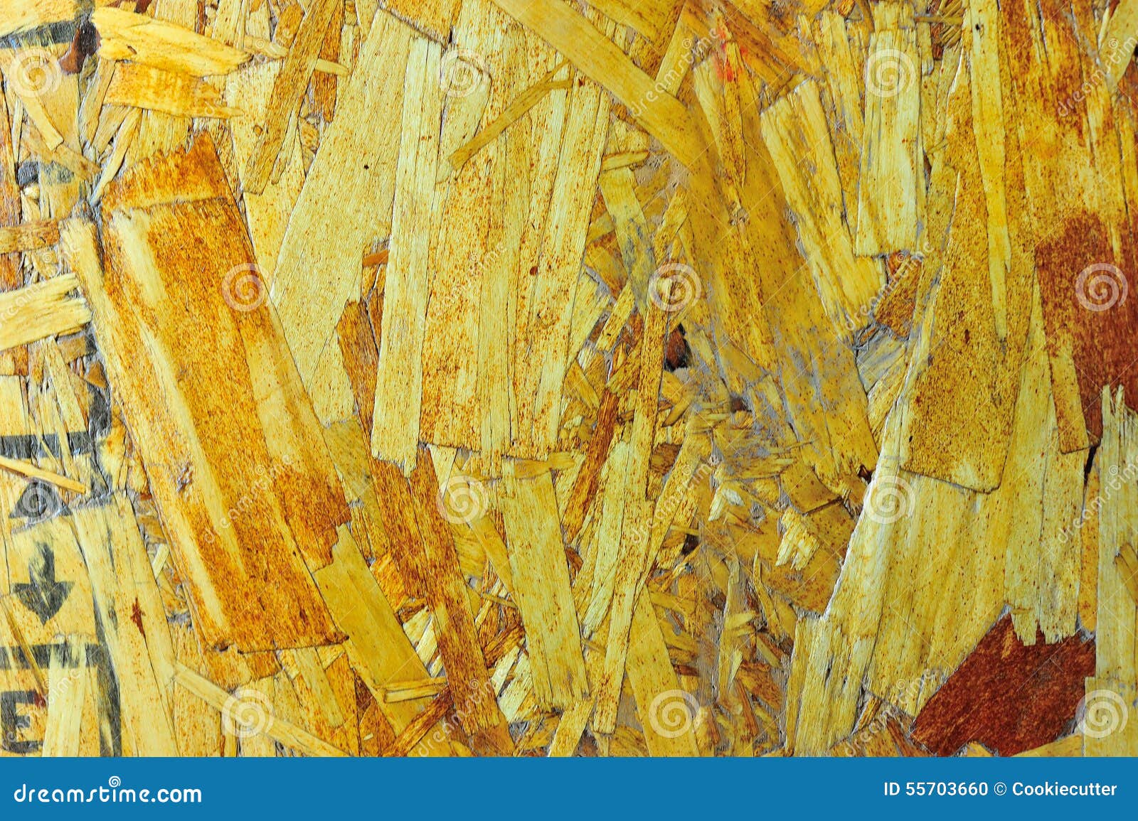 Bark Tree Texture in Soft Light Stock Photo - Image of trunk, white ...