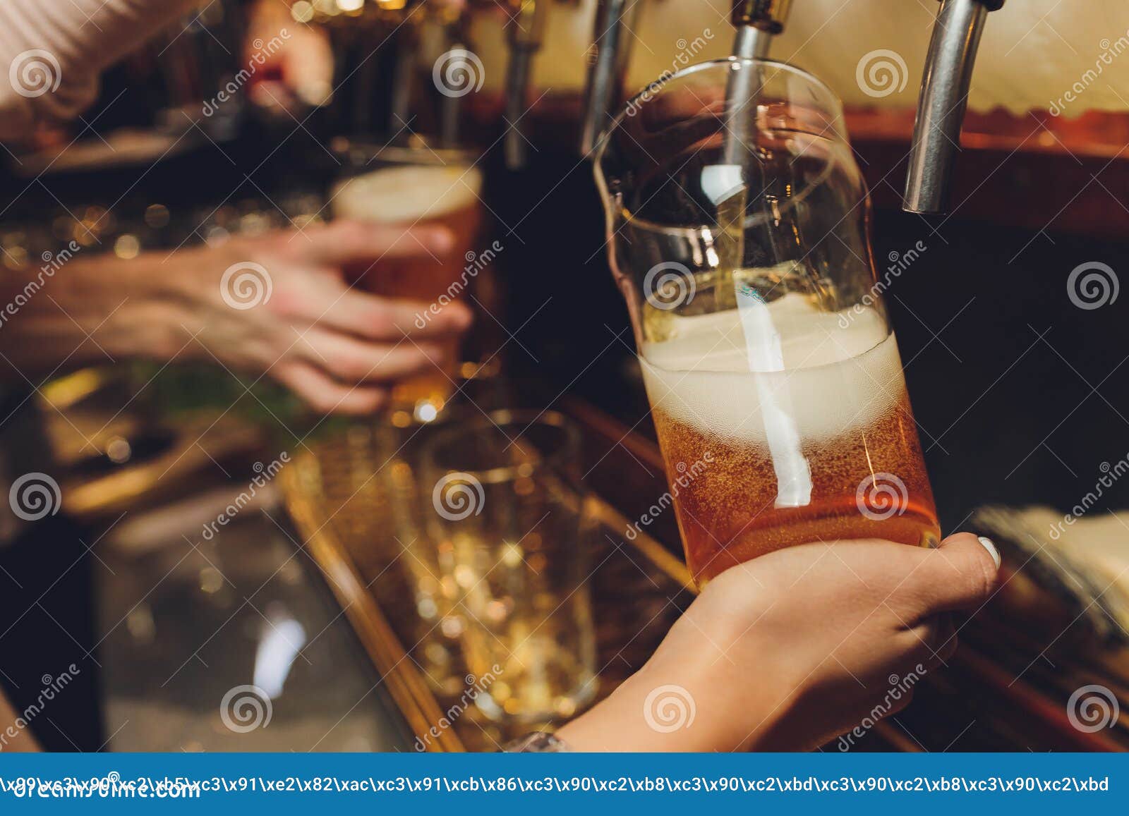 Barkeeper Pulling a Pint of Beer Behind the Bar. Stock Photo - Image of ...