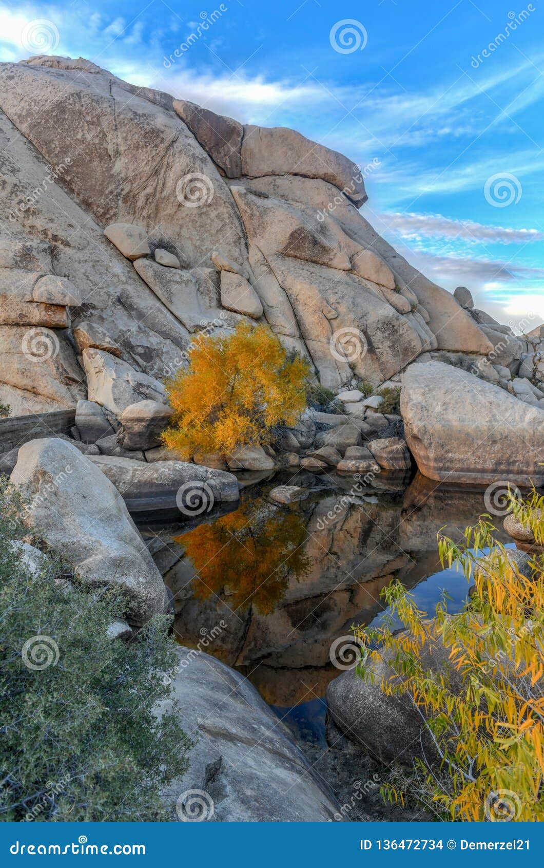 Barker Dam - Joshua Tree National Park Stock Photo - Image of pond ...