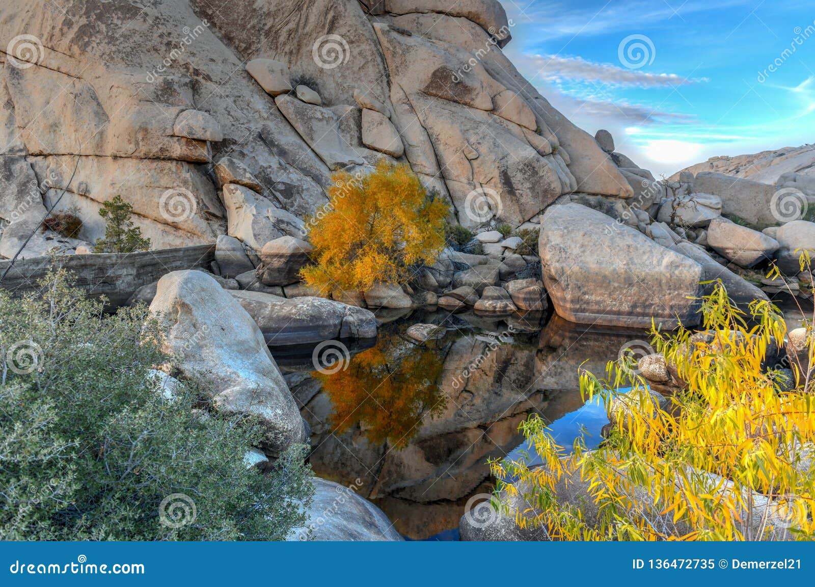 Barker Dam - Joshua Tree National Park Stock Image - Image of desert ...