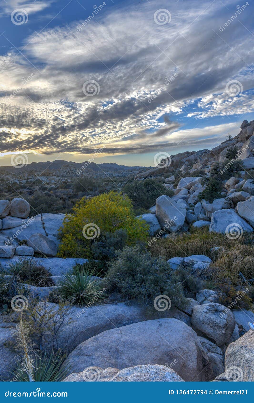 Barker Dam - Joshua Tree National Park Stock Photo - Image of glow ...
