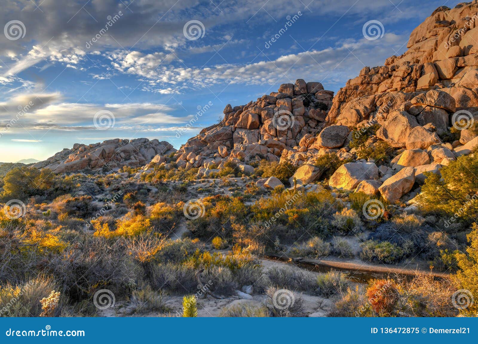 Barker Dam - Joshua Tree National Park Stock Image - Image of green ...