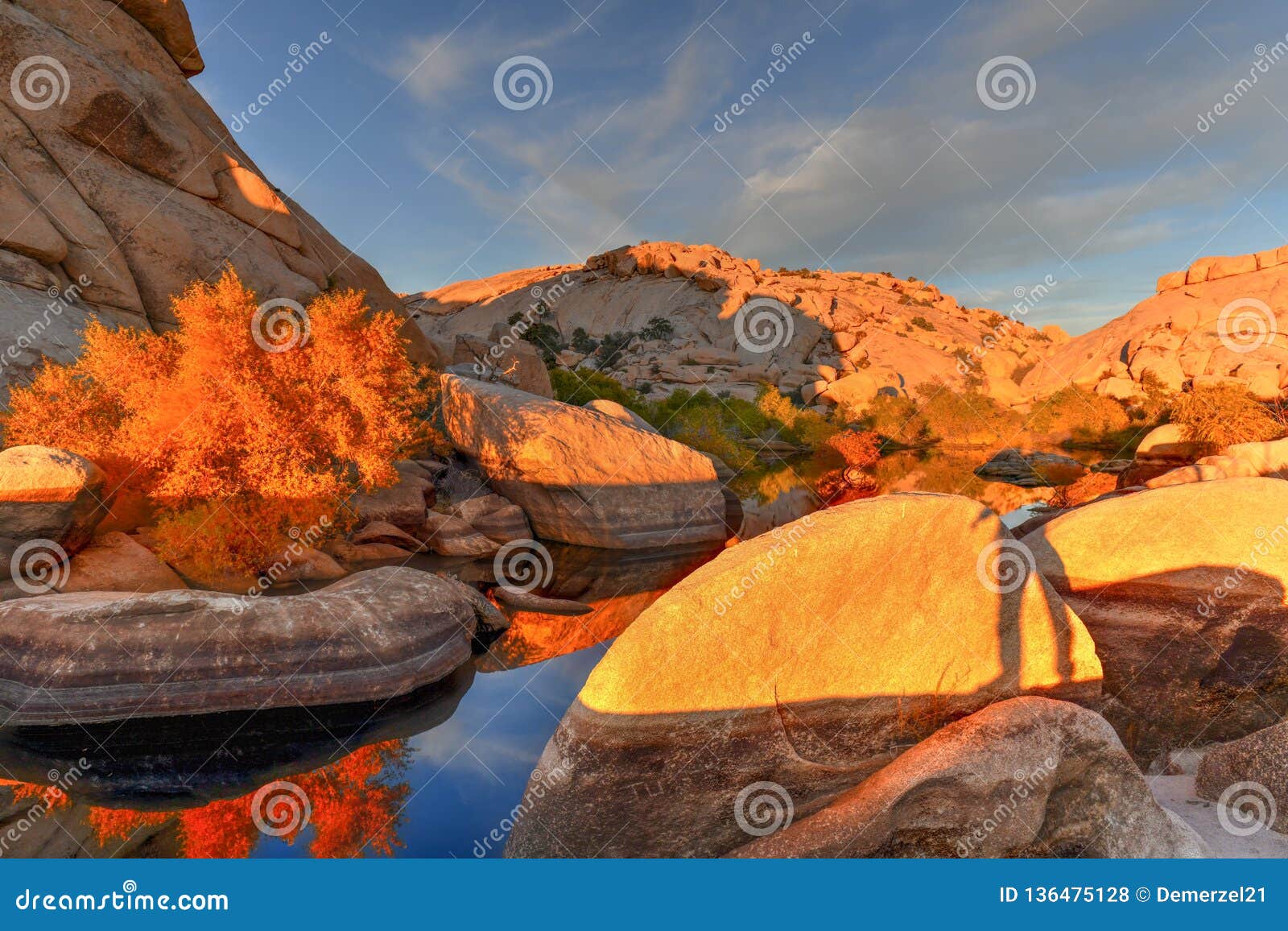 Barker Dam - Joshua Tree National Park Stock Photo - Image of nature ...