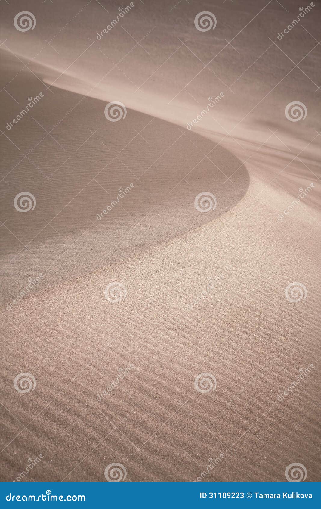 Barkhan dune stock image. Image of desert, crest, detail - 31109223