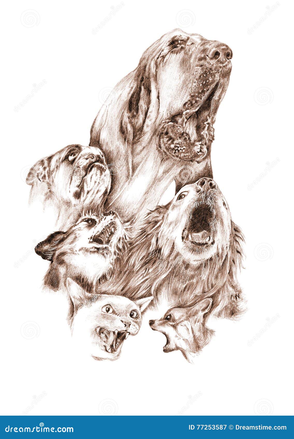 BARKING DOGS SELDOM BITE, Text Written On Red Stamp Sign Royalty-Free ...