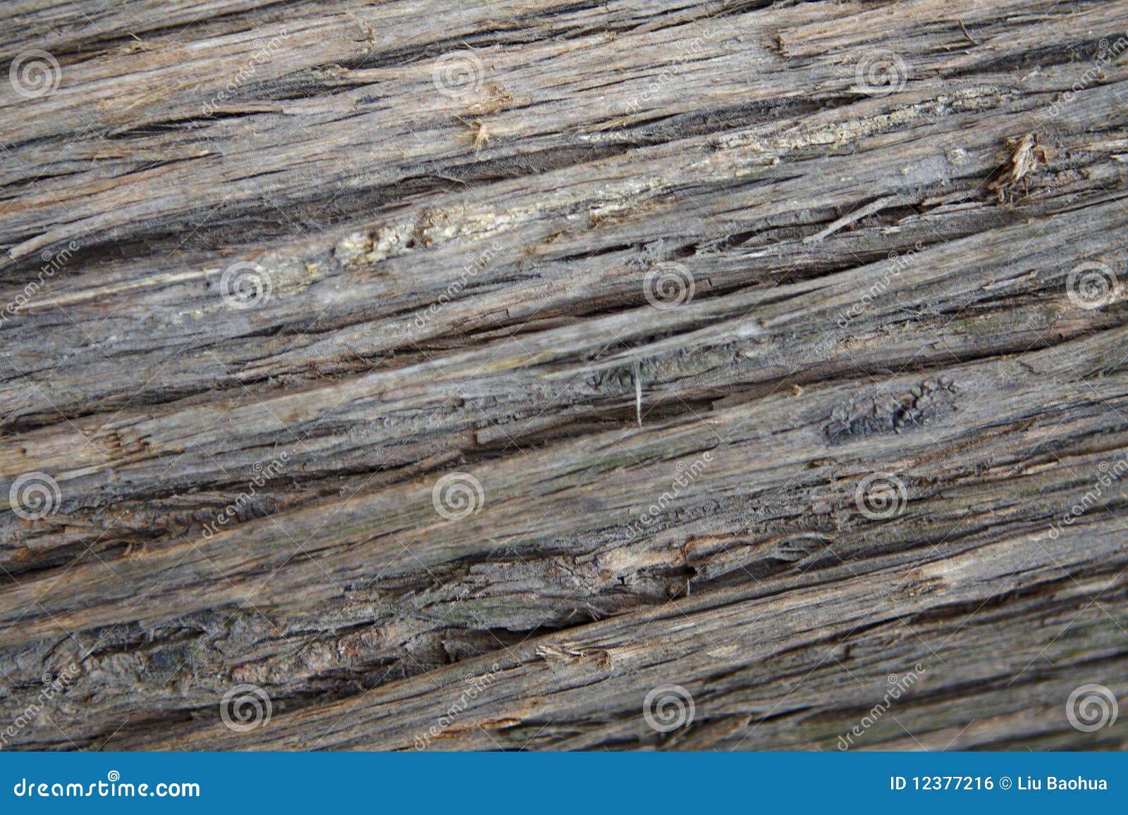 Barky Texture Background Royalty-Free Stock Image | CartoonDealer.com ...