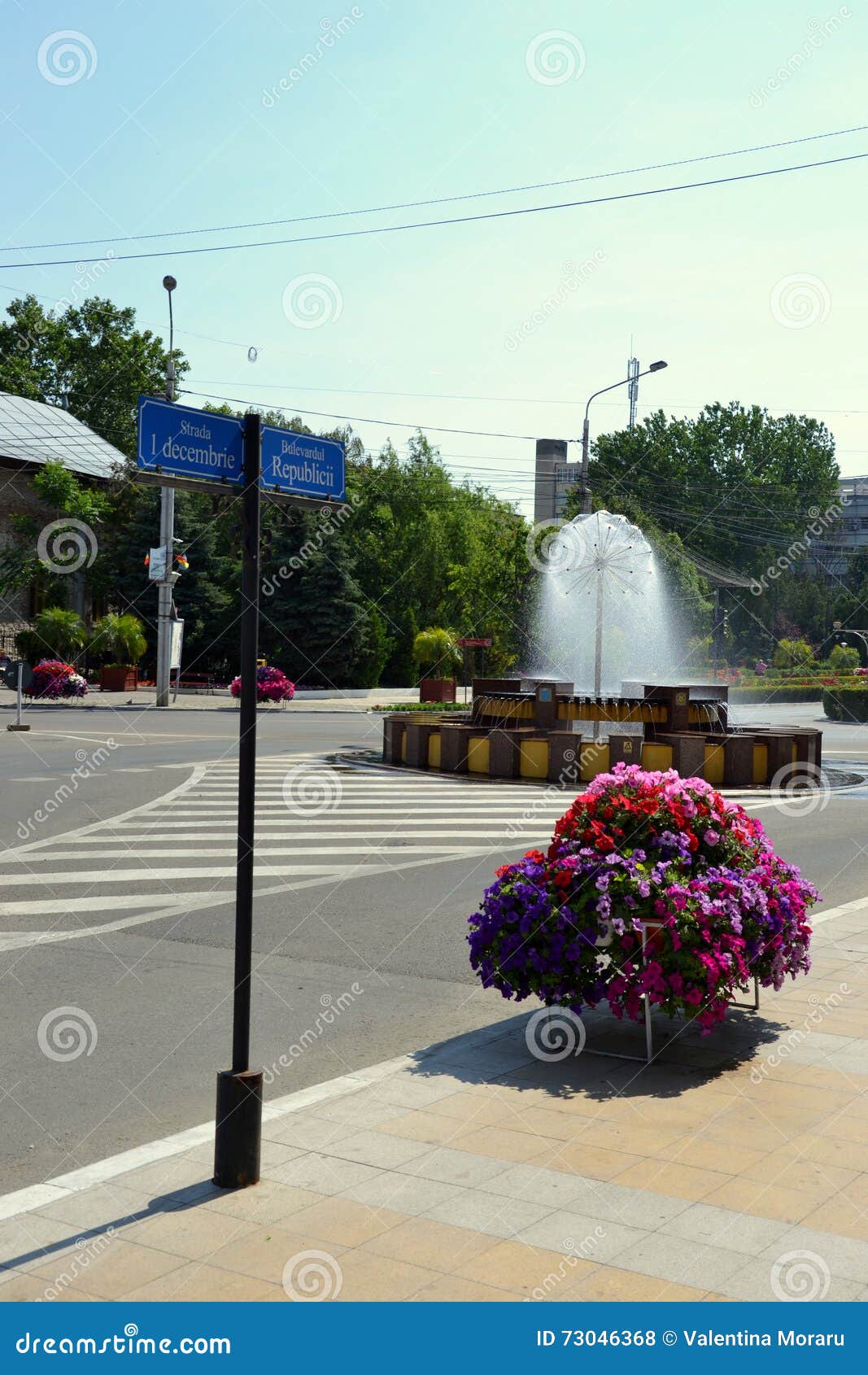 Barlad stock photo. Image of flowers, city, direction - 73046368