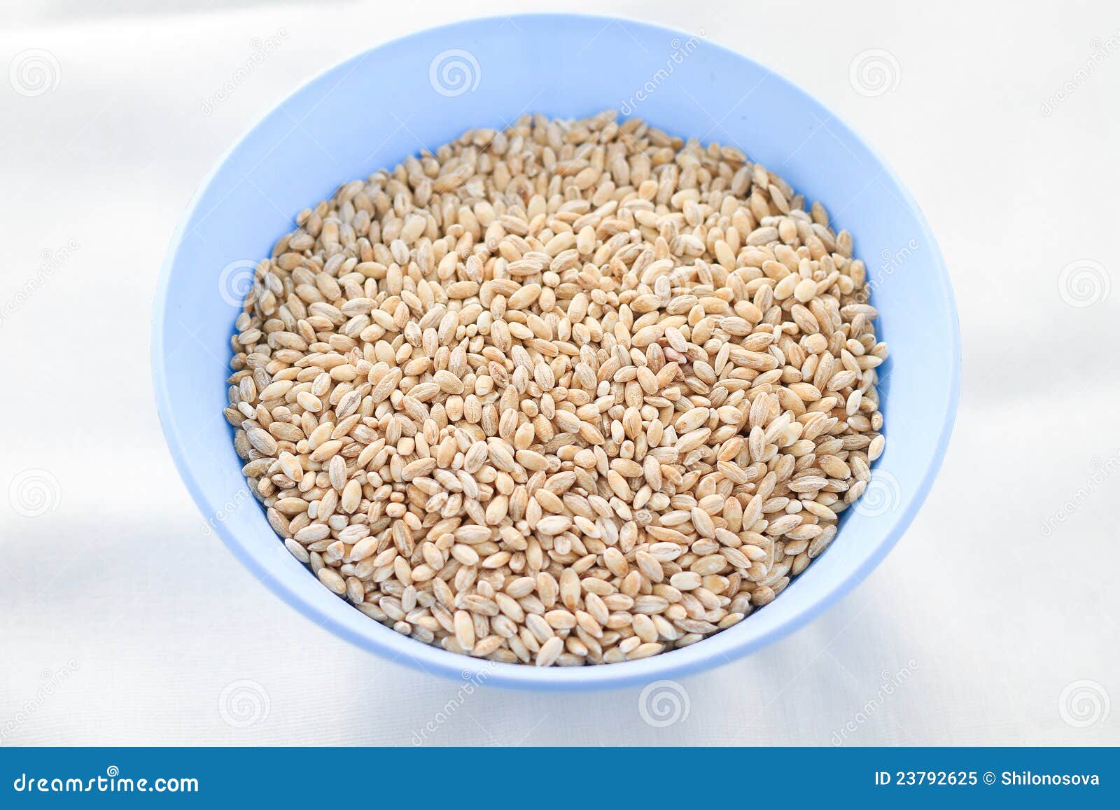 Barley stock image. Image of grain, ingredient, blue - 23792625