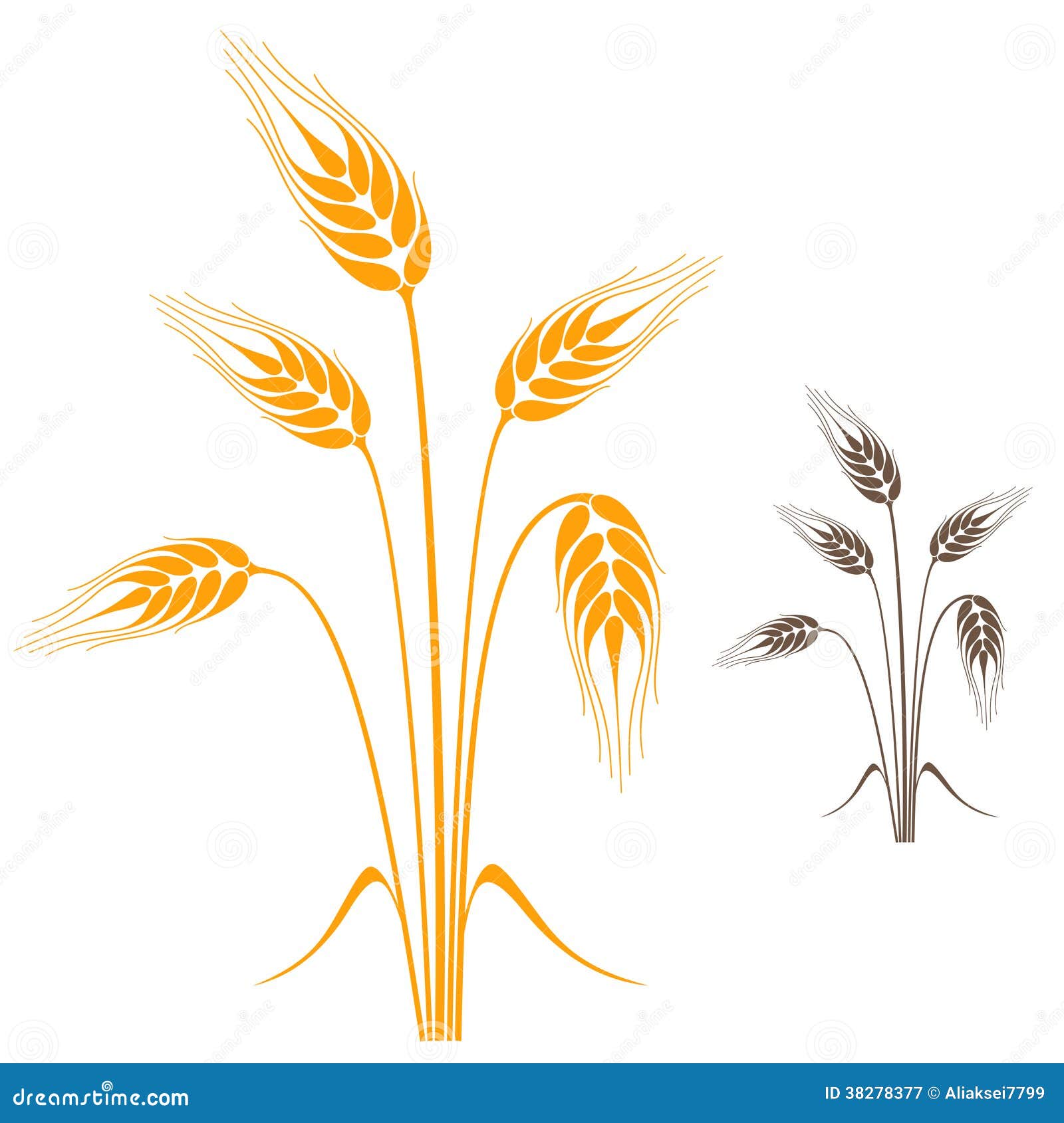 Barley stock vector. Illustration of collection, abstract - 38278377