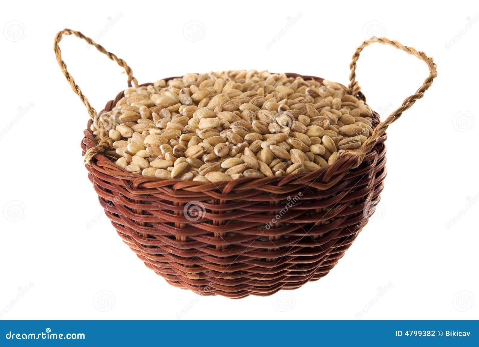 Barley stock photo. Image of plant, farm, farming, ingredient - 4799382