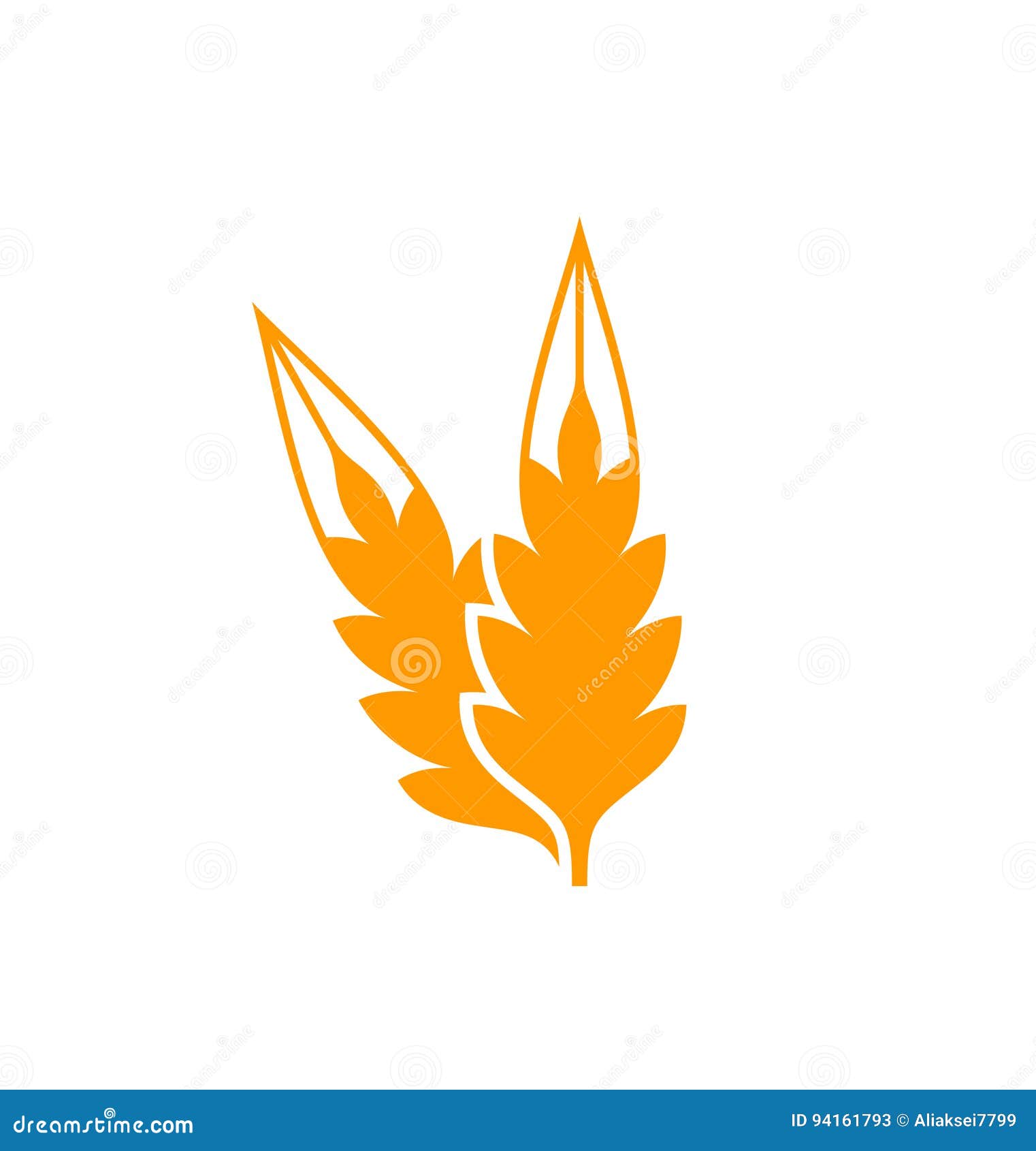 Barley stock vector. Illustration of plant, isolated - 94161793
