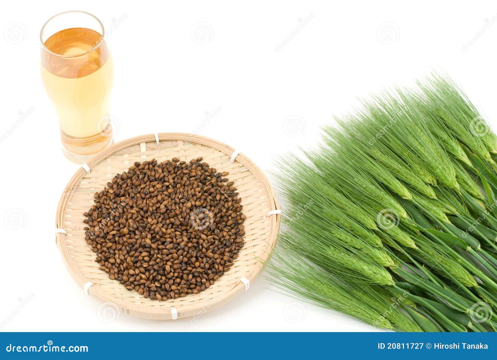 Barley and Barley tea stock image. Image of grain, white - 20811727