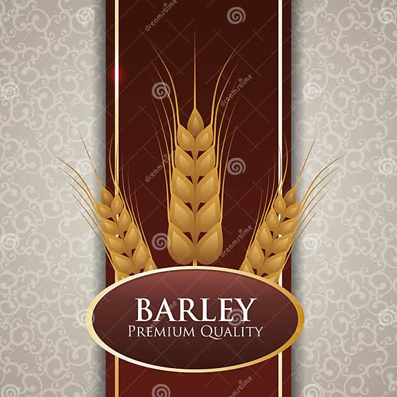 Barley design stock vector. Illustration of nutritious - 60471661