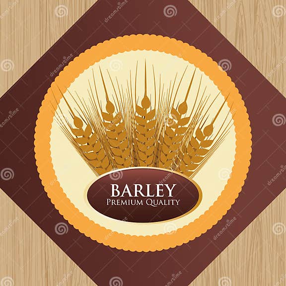 Barley design stock vector. Illustration of grow, barley - 60464203