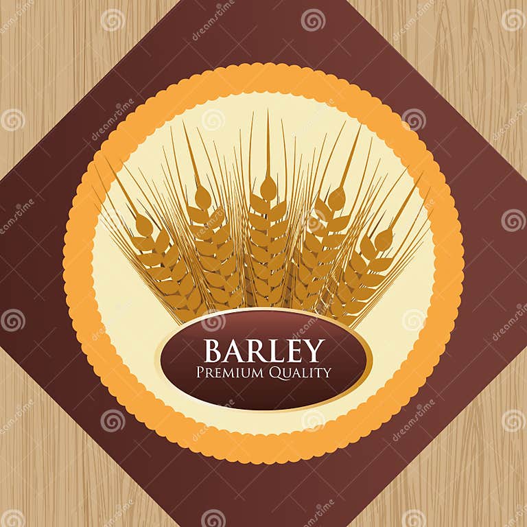 Barley design stock vector. Illustration of grow, barley - 60464203