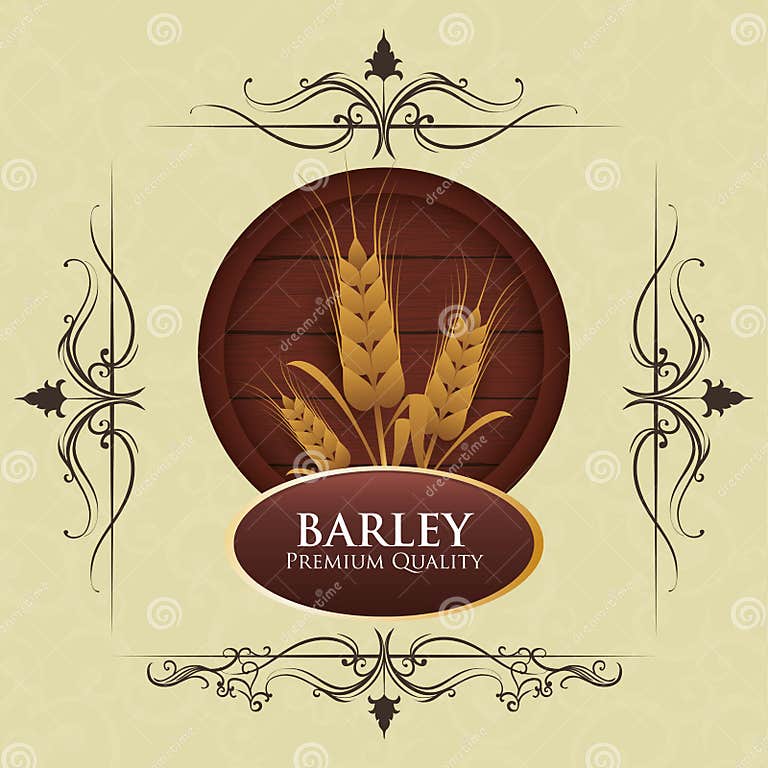 Barley design stock vector. Illustration of healthy, grain - 60465589