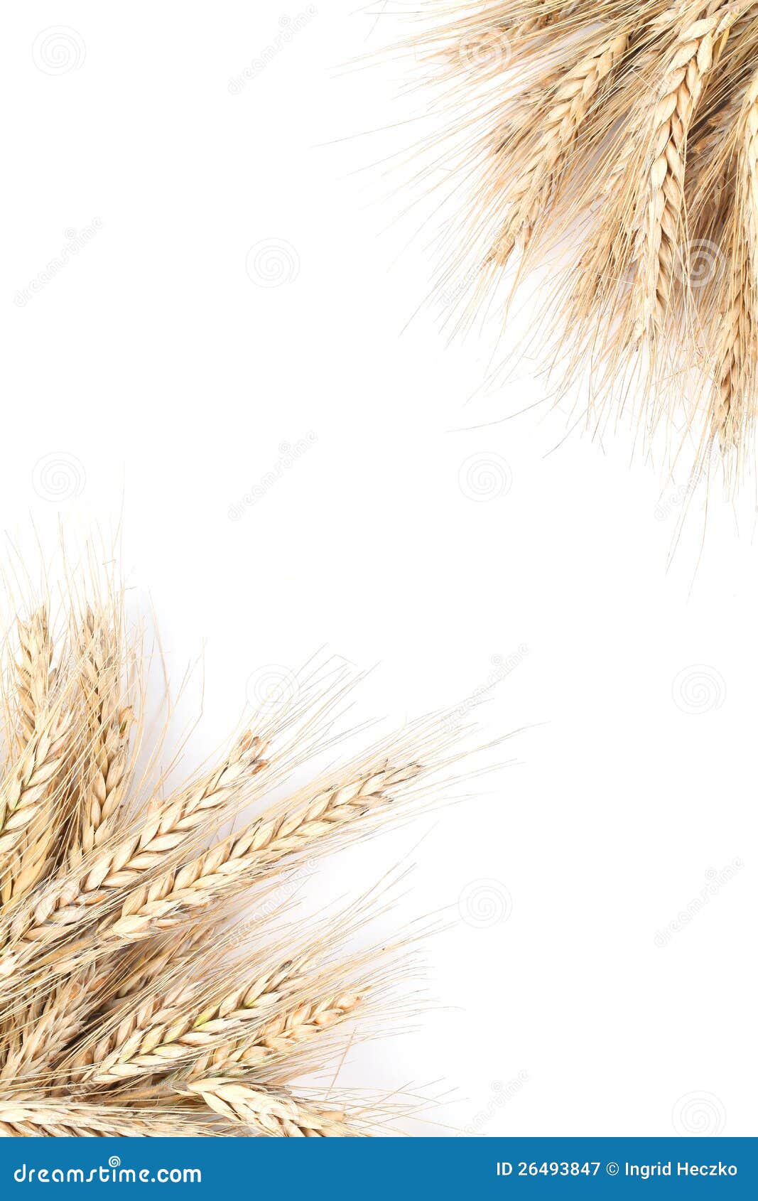 2,286 Barley Frame Photos - Free & Royalty-Free Stock Photos from ...