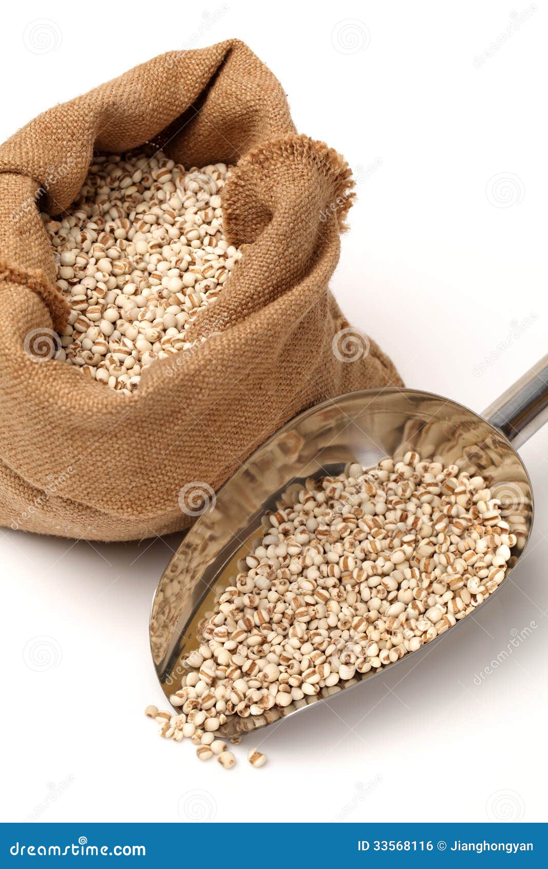Barley grain stock photo. Image of pile, macro, healthy - 33568116