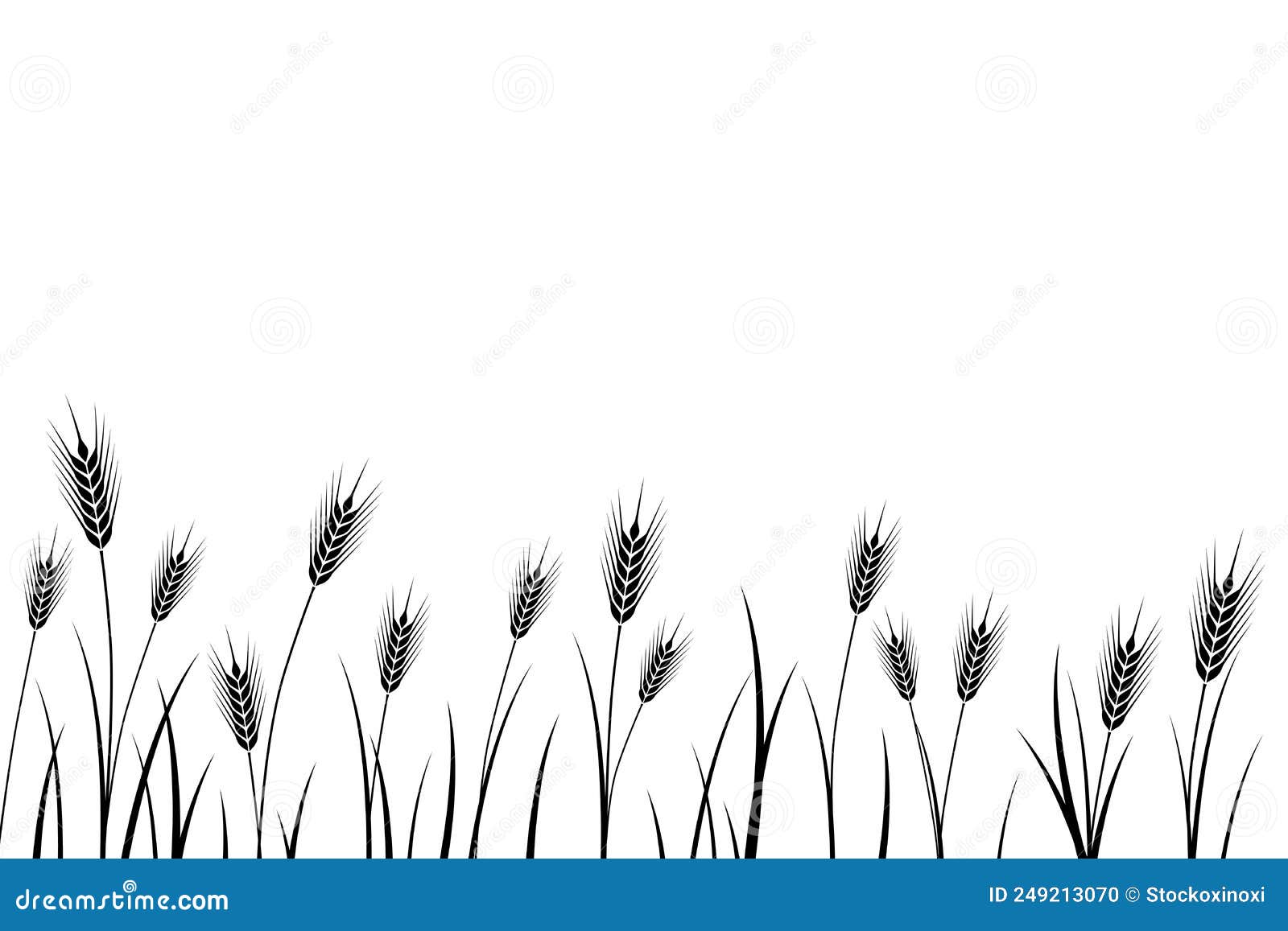 Barley Grain Field Vector Illustration Stock Vector - Illustration of ...
