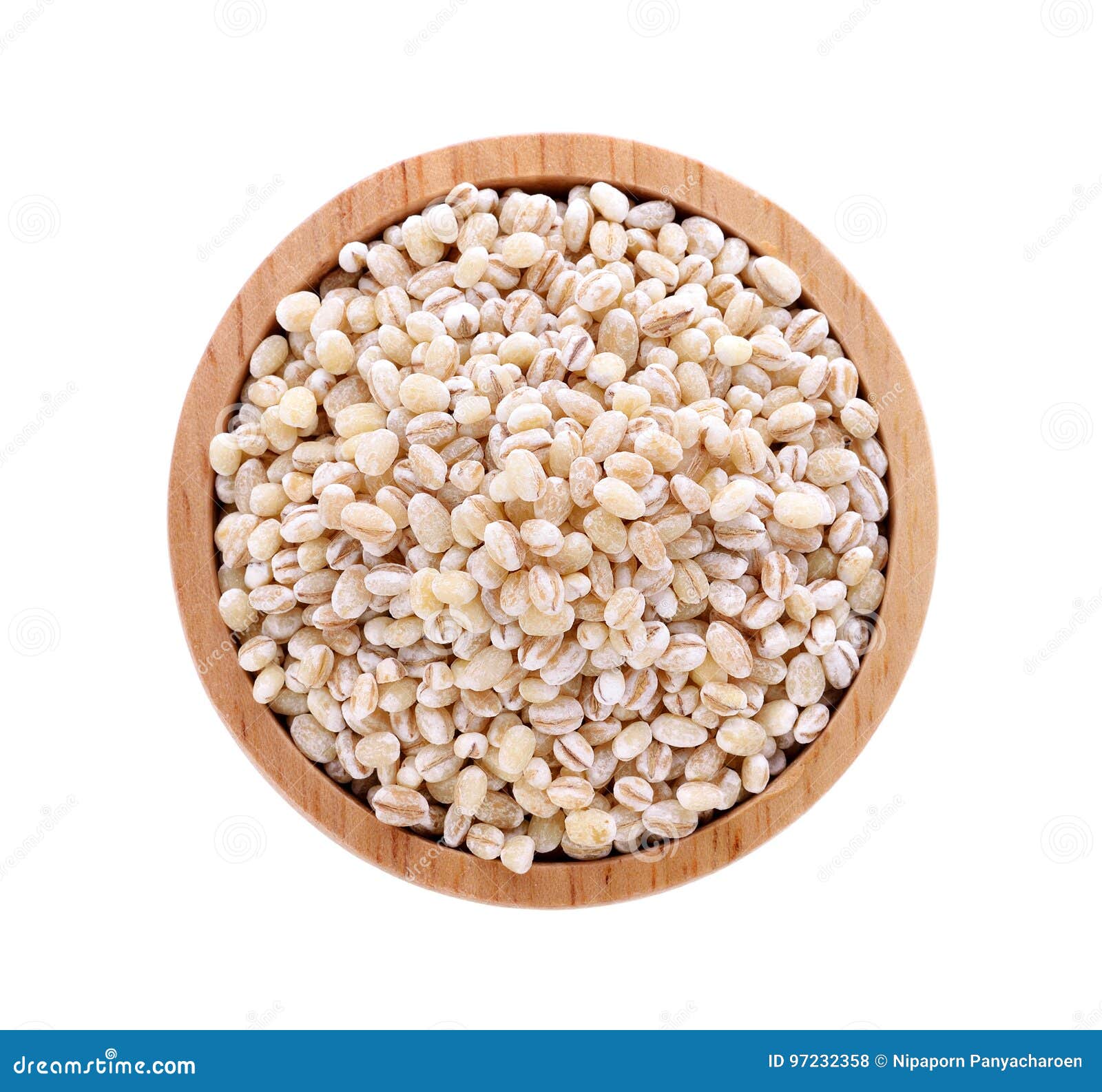 Barley grain seed stock photo. Image of background, hordeum - 97232358