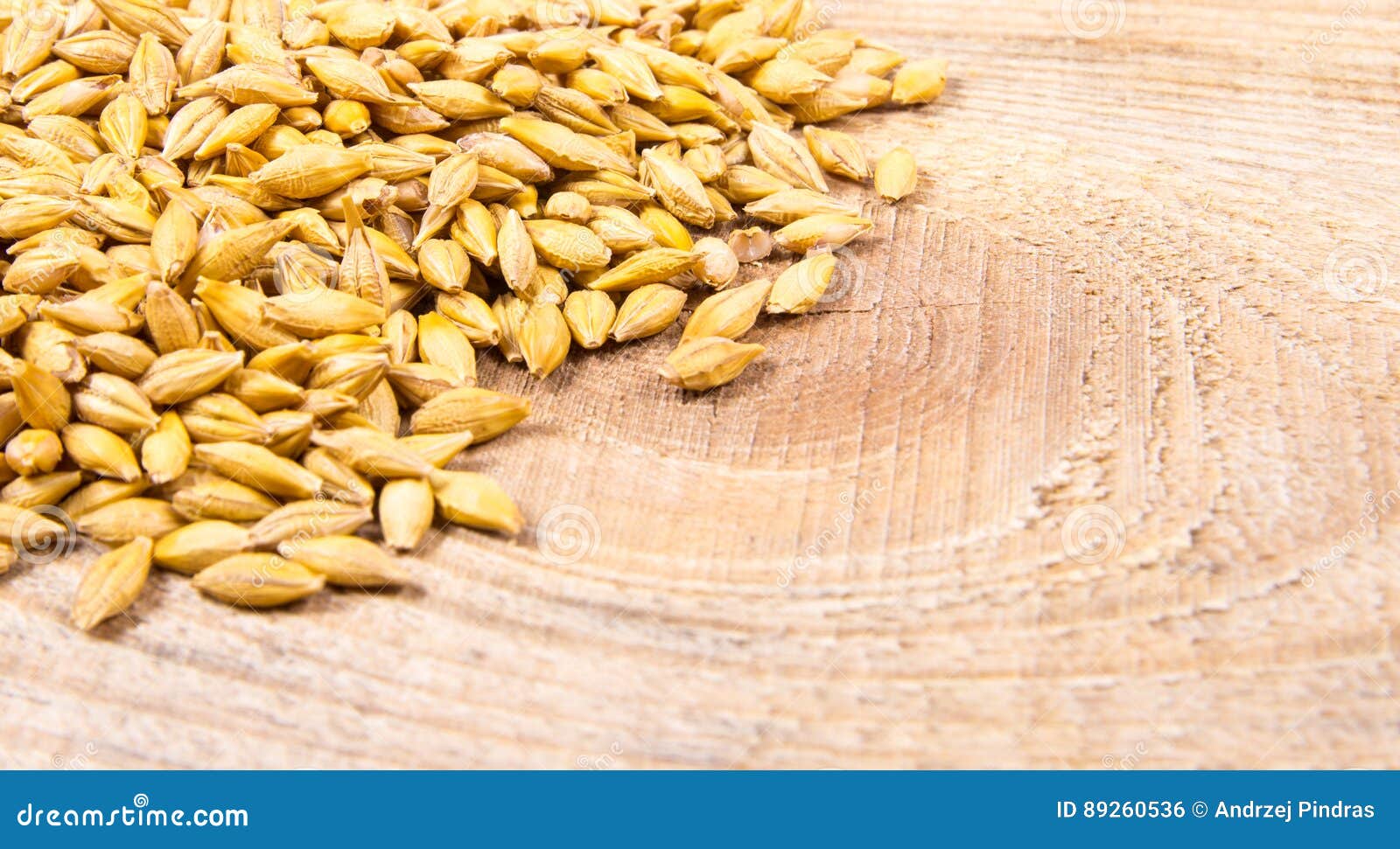 Barley Grain or Seeds CloseUp. Stock Photo - Image of health, healthy ...