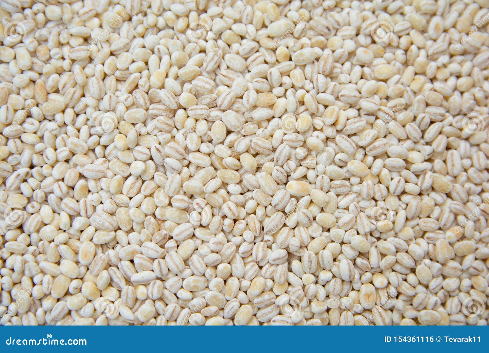 Close-up Dried Barley Malt in a Sack for Brewing Beer Stock Photo ...