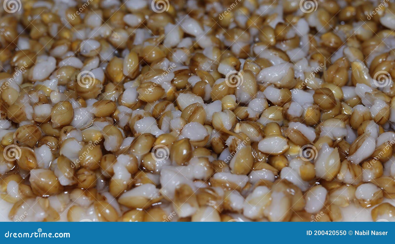Barley Grains after Boiling with Water Stock Photo - Image of sweet ...