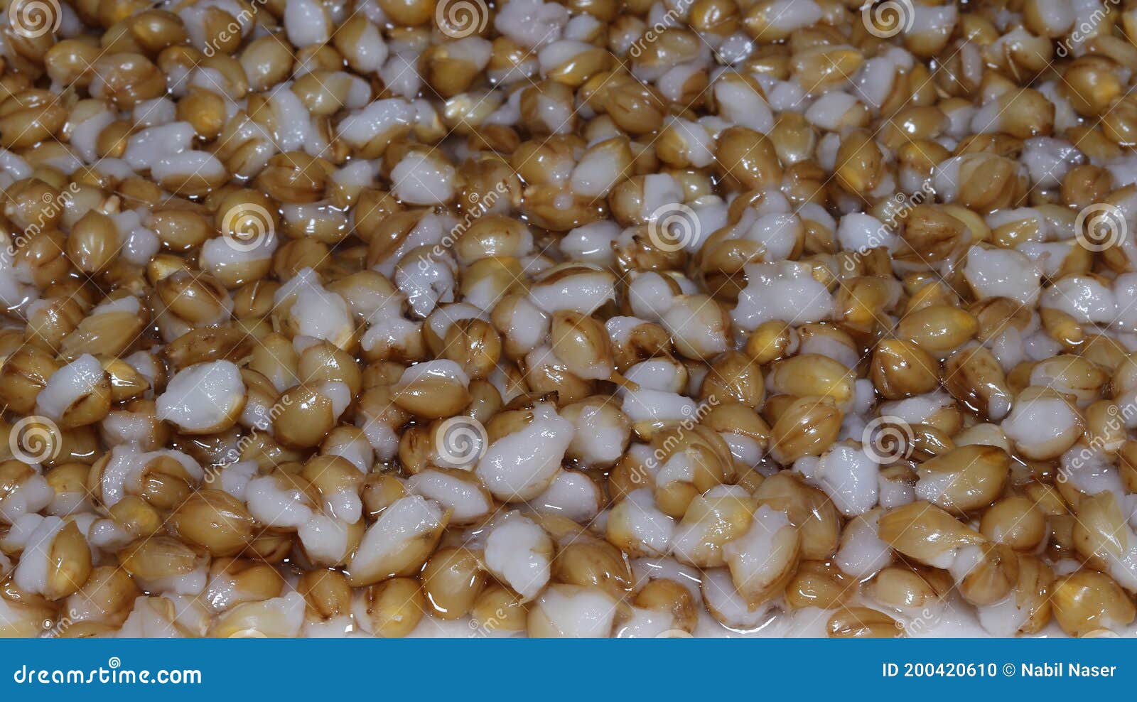 Barley Grains after Boiling with Water Stock Photo - Image of quantity ...