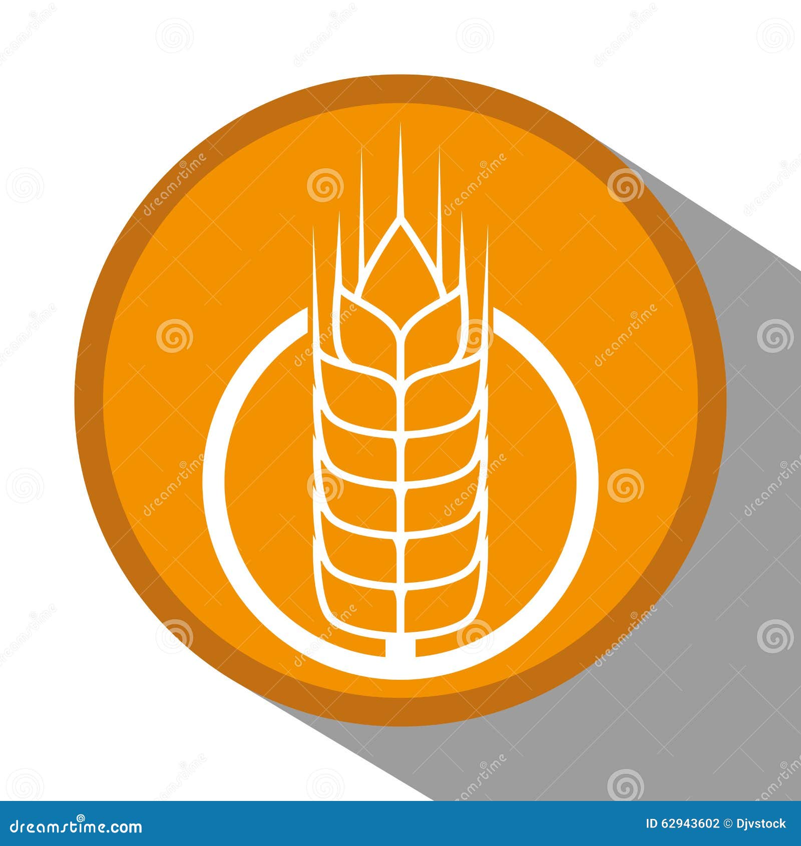 Barley grains design stock vector. Illustration of design - 62943602