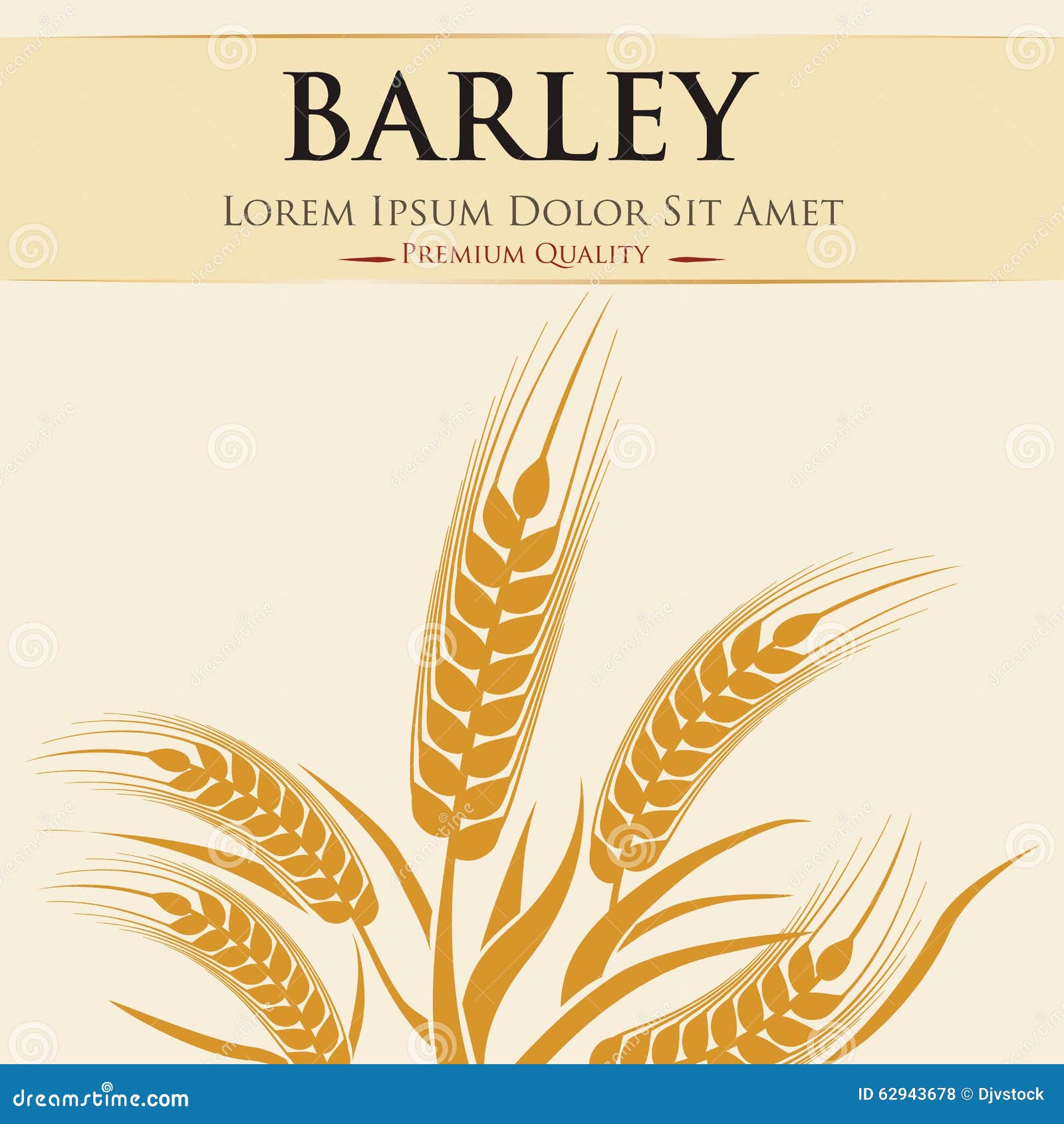 Barley grains design stock vector. Illustration of flour - 62943678
