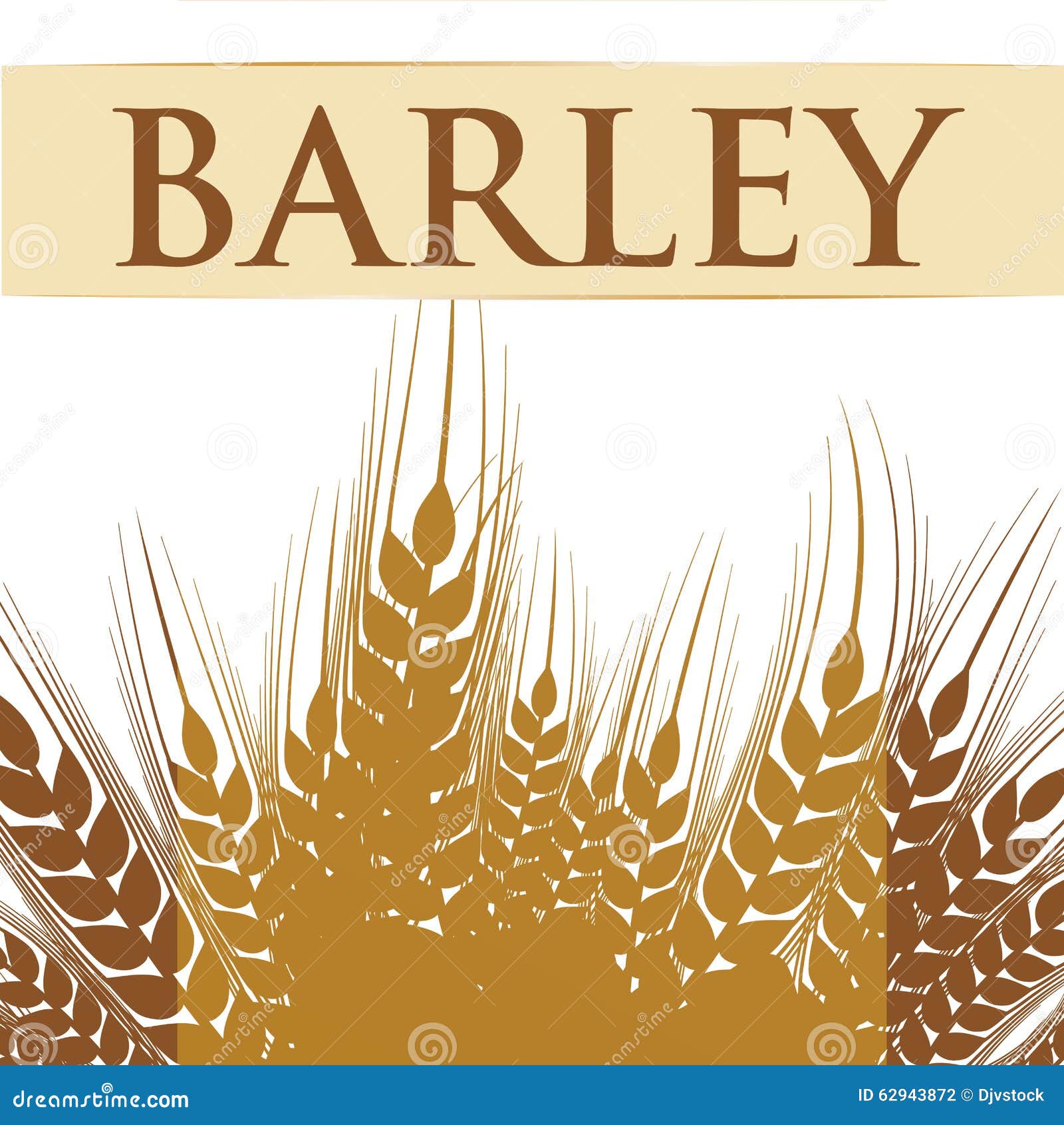 Barley grains design stock vector. Illustration of barley - 62943872
