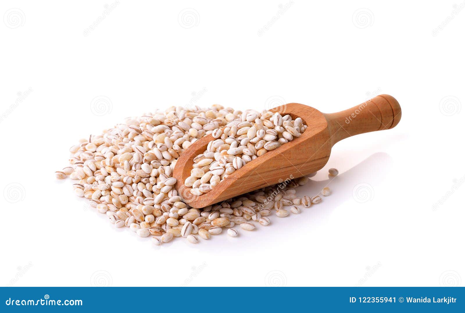 Barley Grains on White Background Stock Image - Image of kernel, plant ...