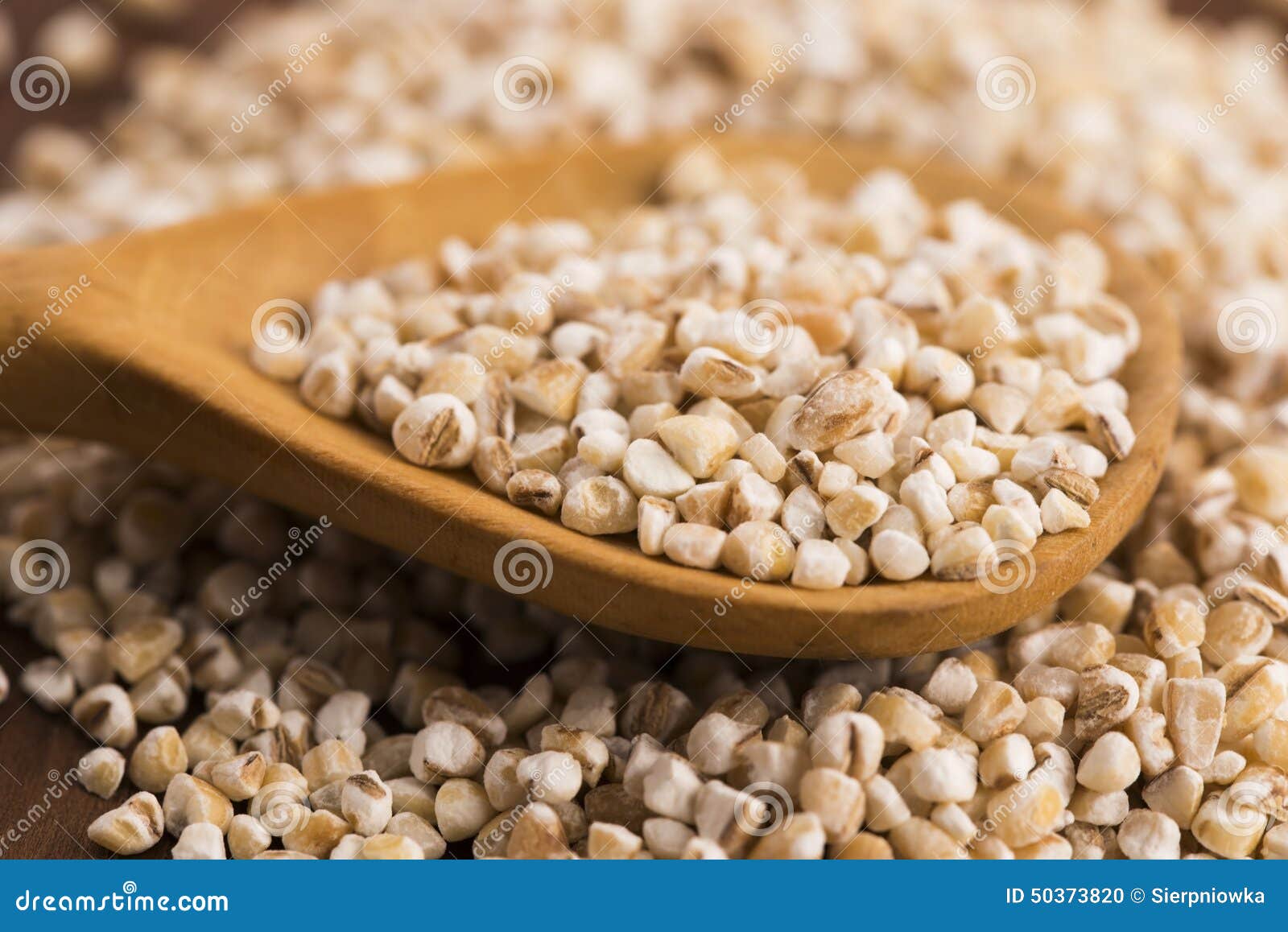 Barley groats stock photo. Image of brown, crop, groats - 50373820