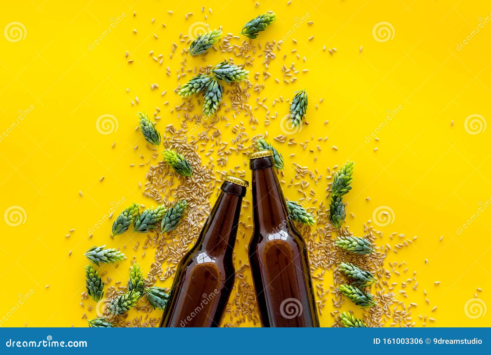 Barley and Hop for Making Beer on Yellow Background Top View Copy Space ...