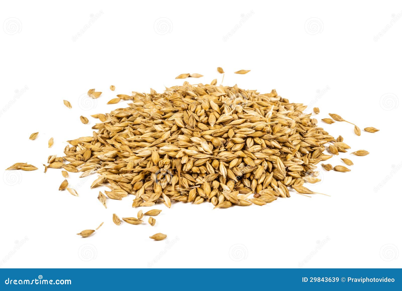 Barley on white stock image. Image of grain, wheat, heap - 29843639