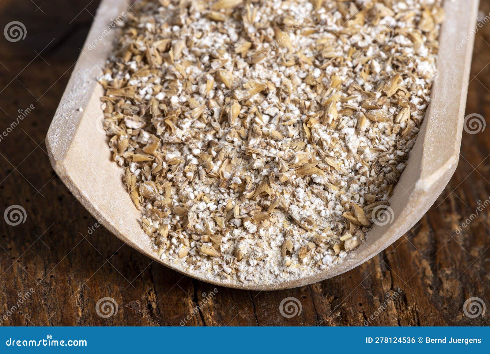 Barley malt for brewing stock photo. Image of wood, mash - 278124536