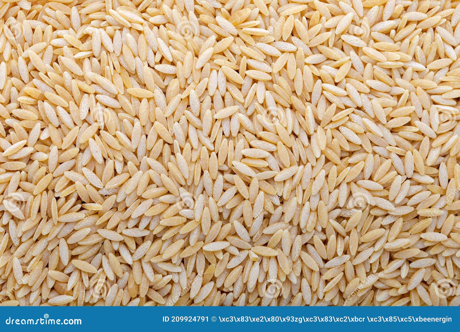 Barley Noodle From Traditional Turkish Cuisine - Arpa Sehriye Royalty ...