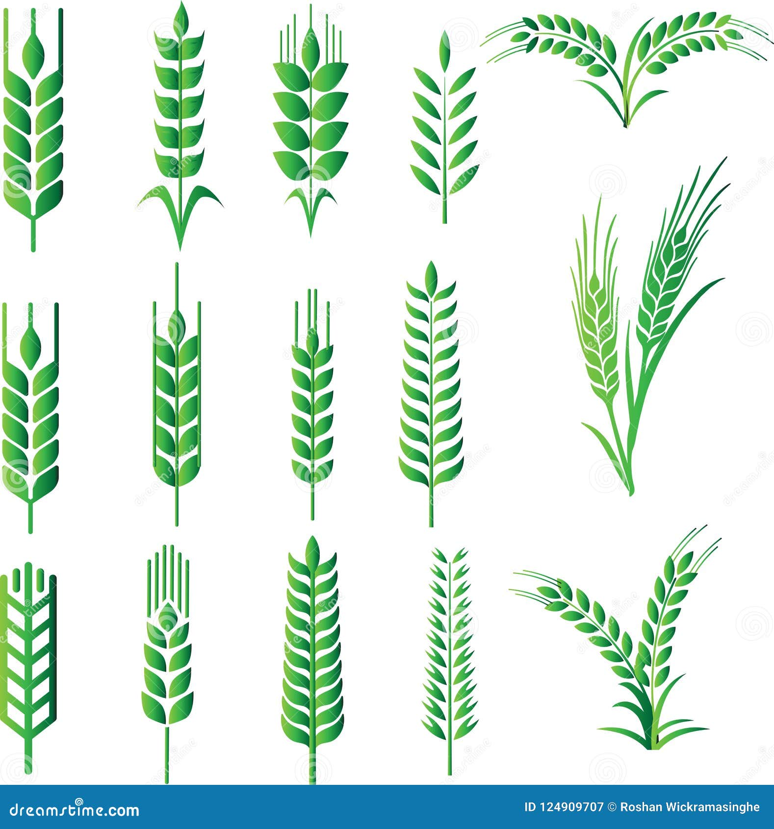 Barley oat vectors stock vector. Illustration of barley - 124909707