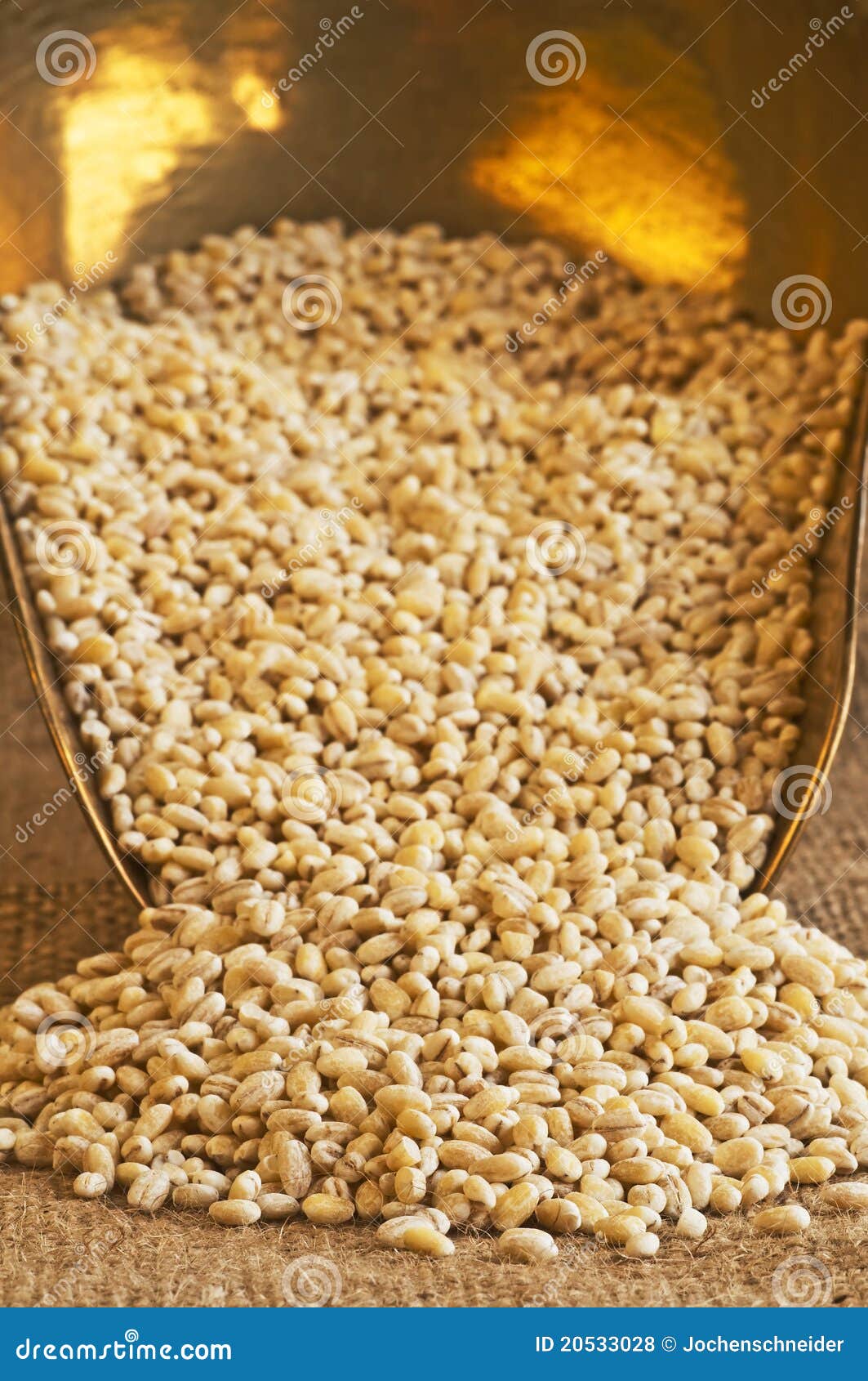 Barley pearls stock photo. Image of diet, breakfast, meal - 20533028