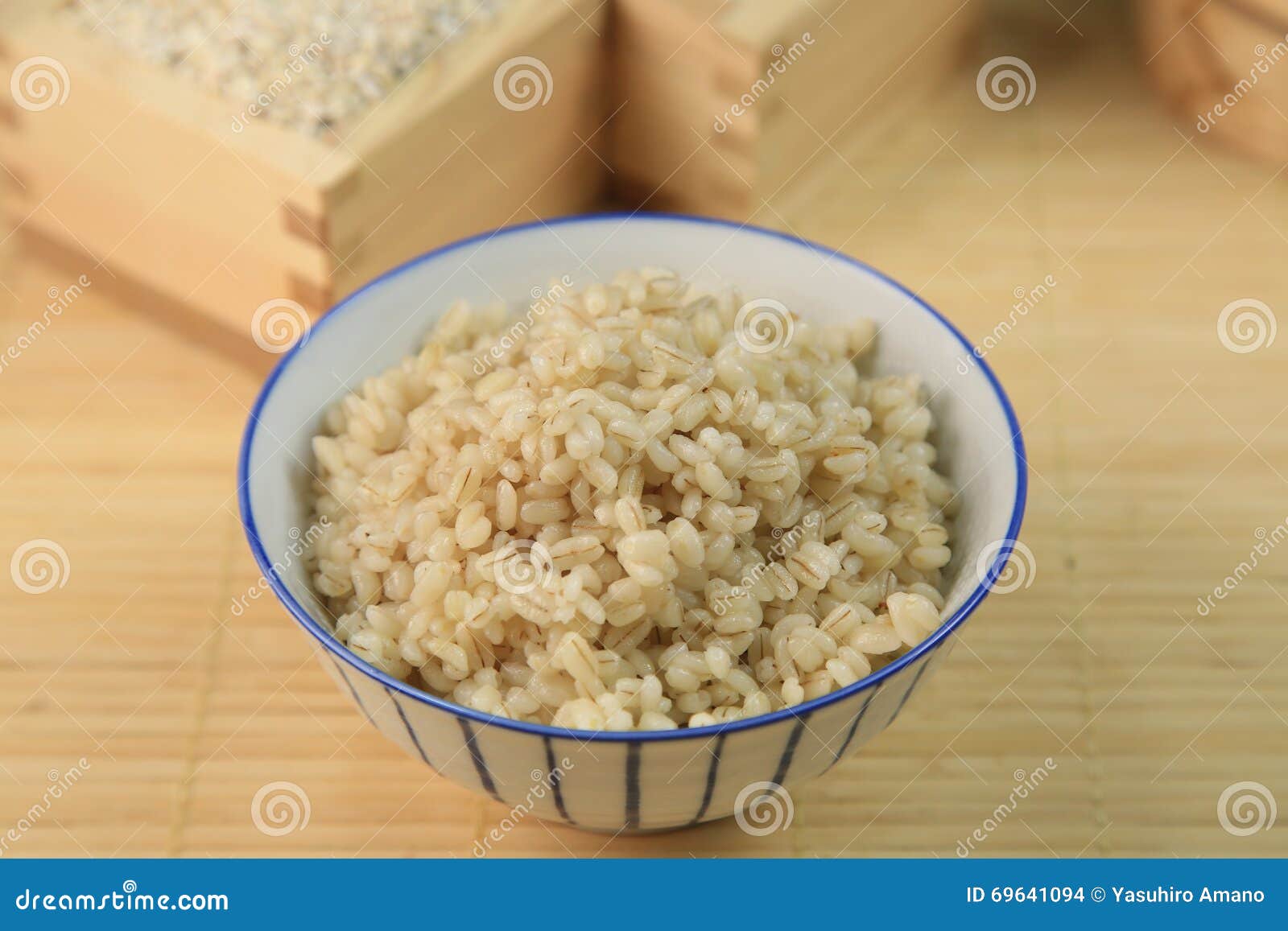 Barley rice stock photo. Image of grain, vegetarian, barley - 69641094
